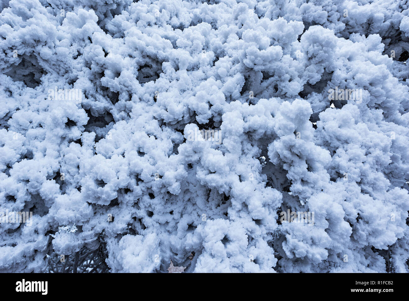 Frozen trees in Huangshan National park. China Stock Photo - Alamy