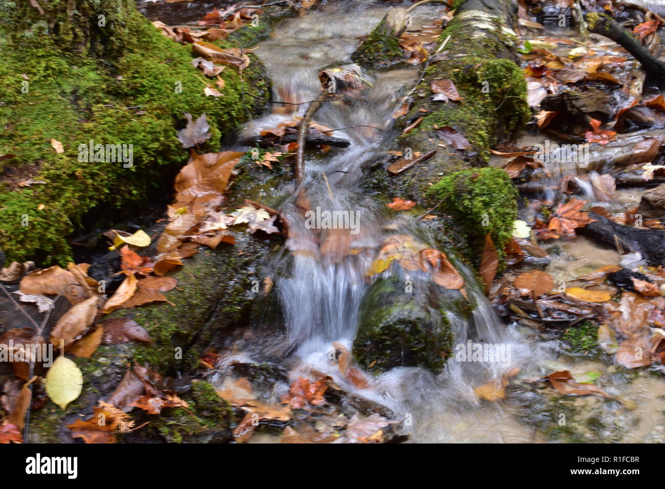Unphotoshopped Pictures Of Nature