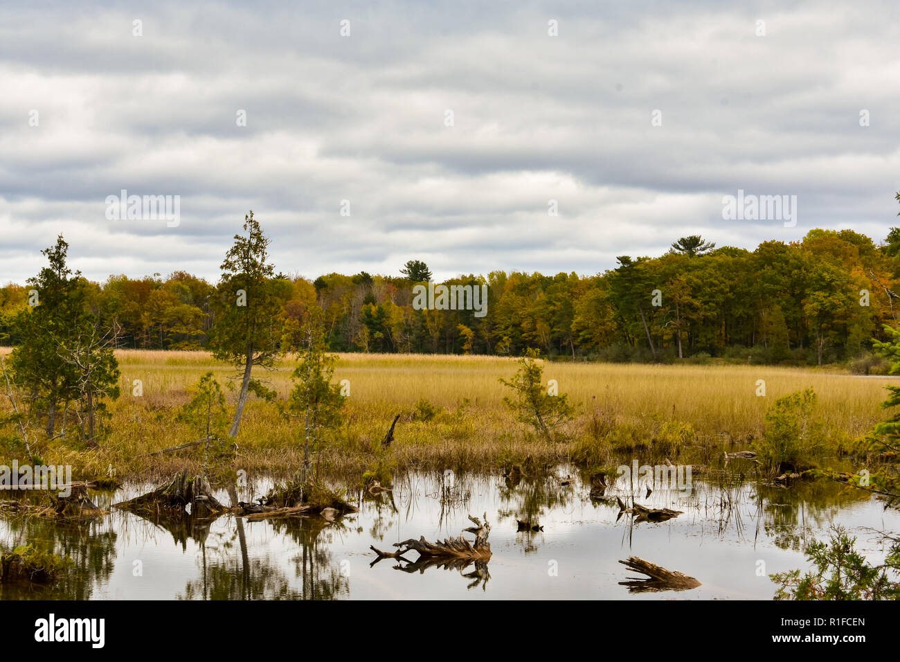 Oscoda hi-res stock photography and images - Alamy
