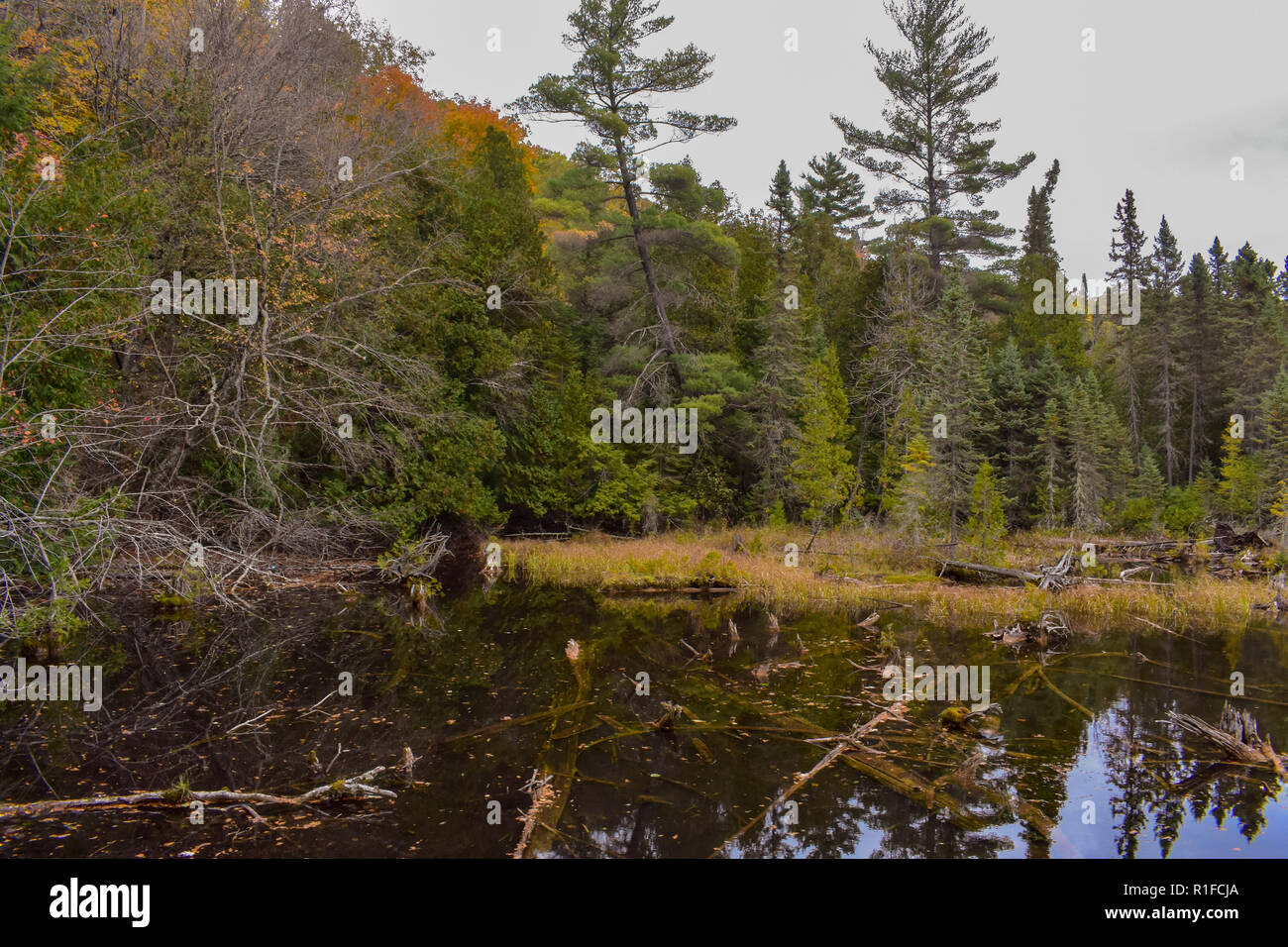 Huron national forest hi-res stock photography and images - Alamy