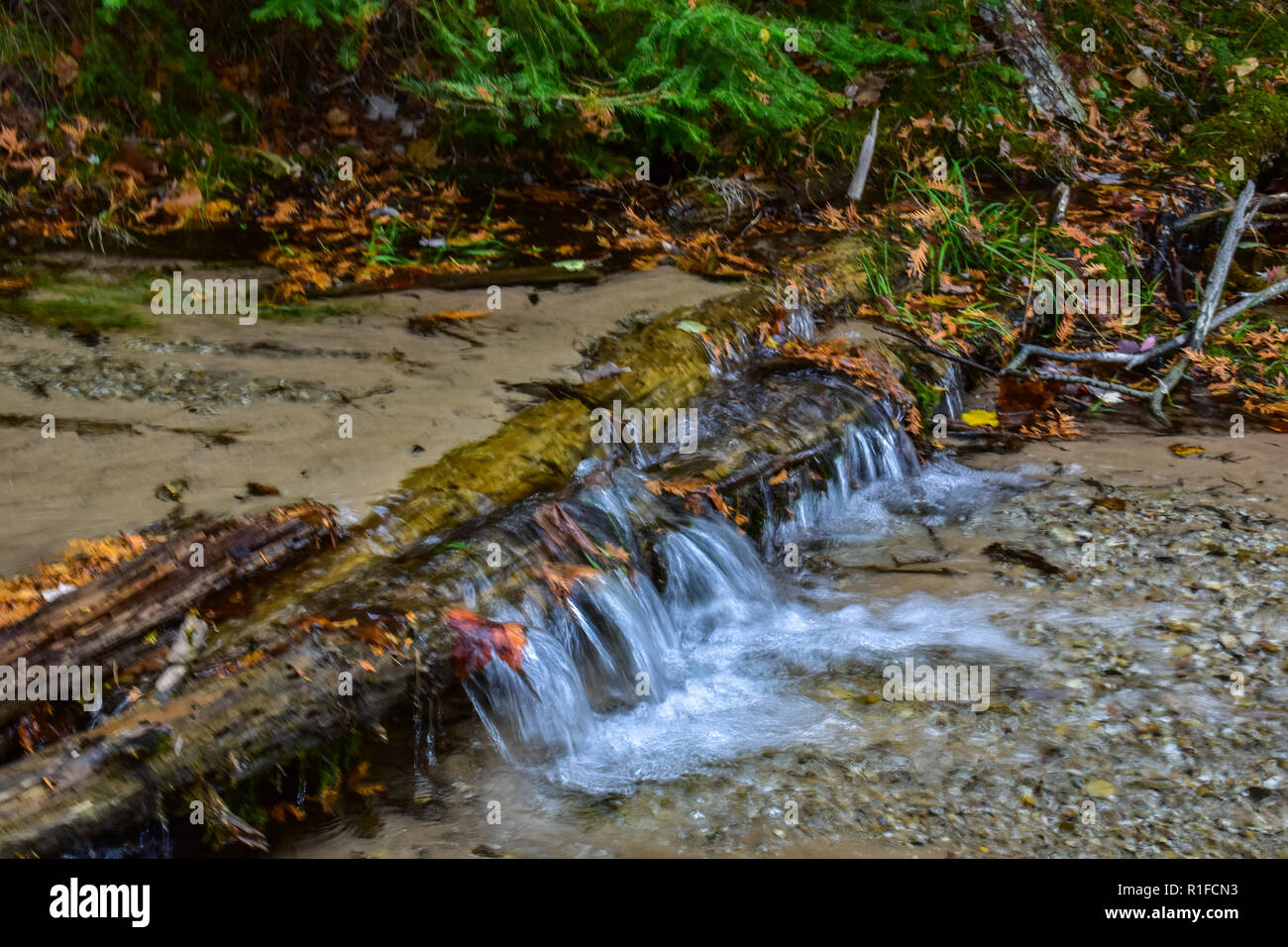 Huron national forest hi-res stock photography and images - Alamy