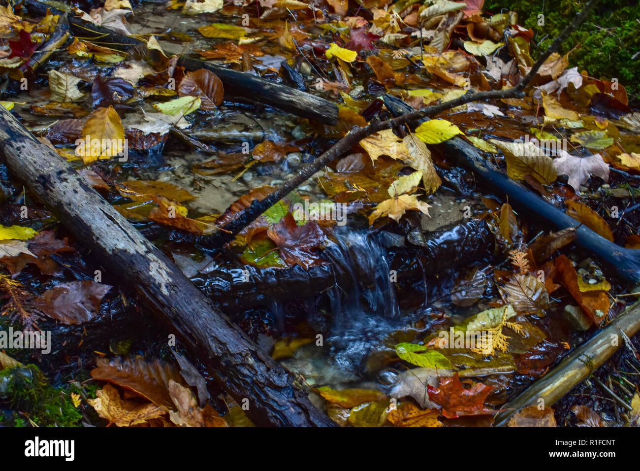 Huron national forest hi-res stock photography and images - Alamy
