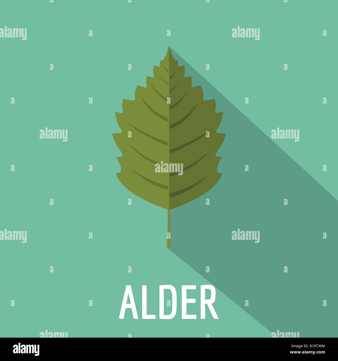 Alder leaf icon. Flat illustration of alder leaf vector icon for web ...
