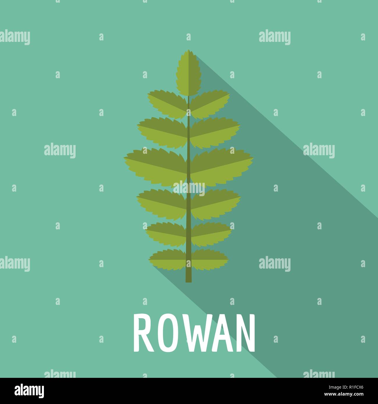 Rowan leaf icon. Flat illustration of rowan leaf vector icon for web ...