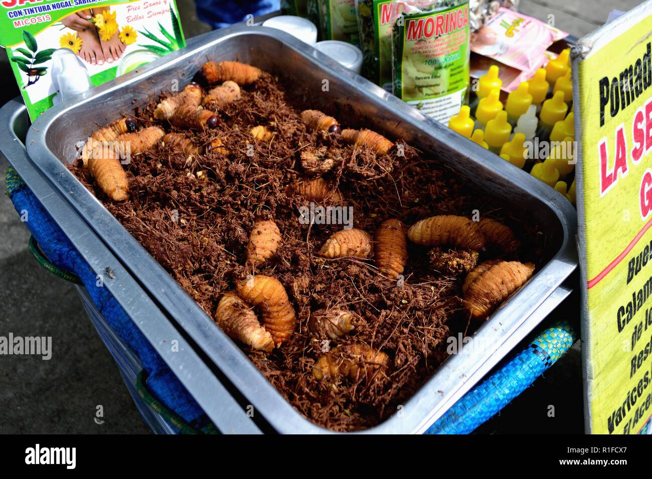 Peru amazónico hi-res stock photography and images - Alamy