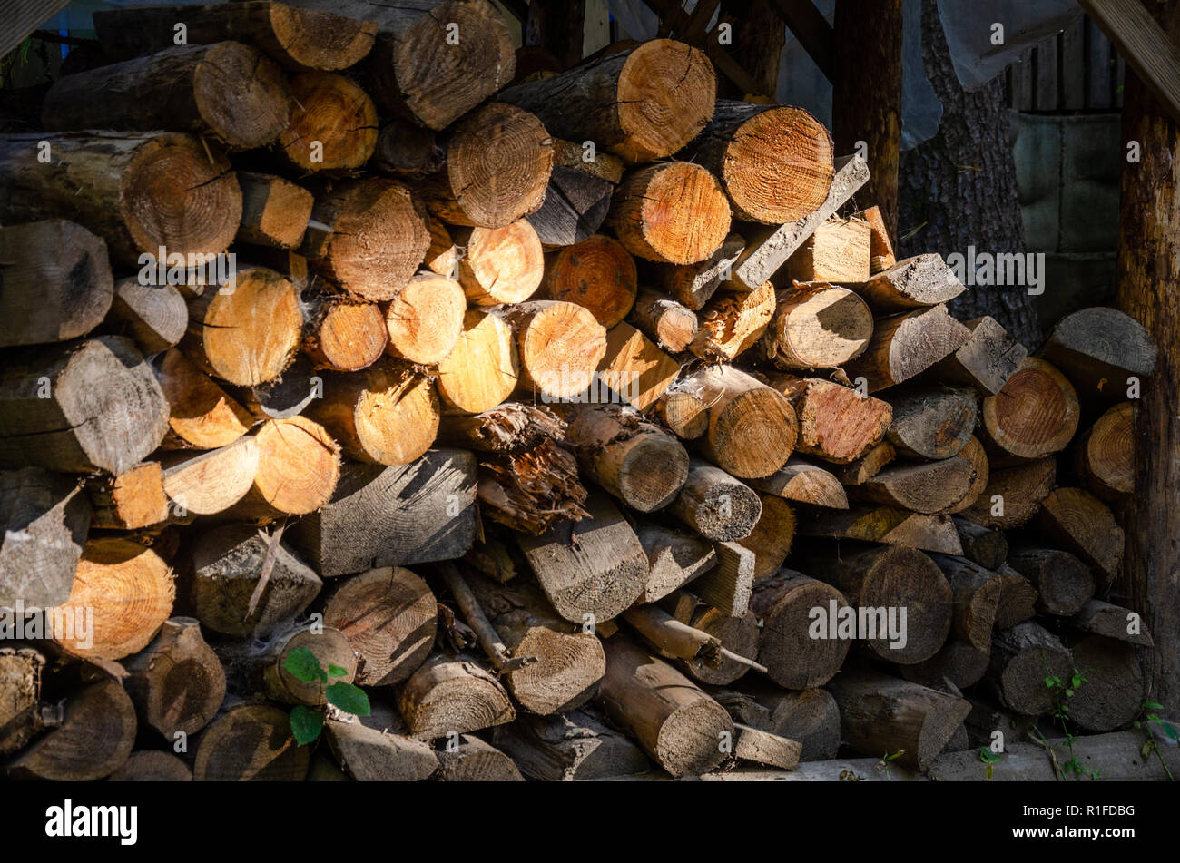 Wood pile outdoors, logs stacked for future storage be that as fuel or ...