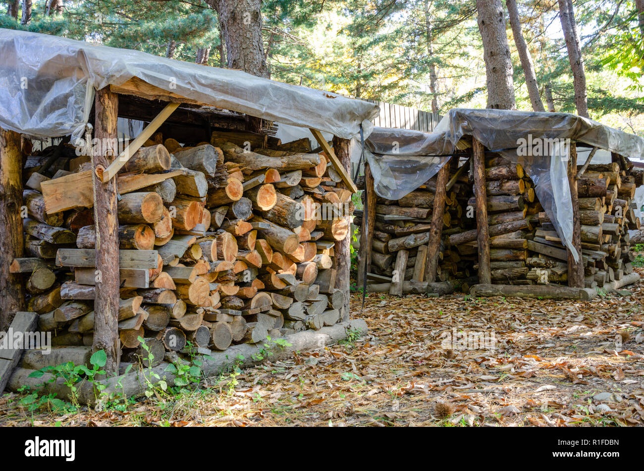 Wood pile outdoors, logs stacked for future storage be that as fuel or ...