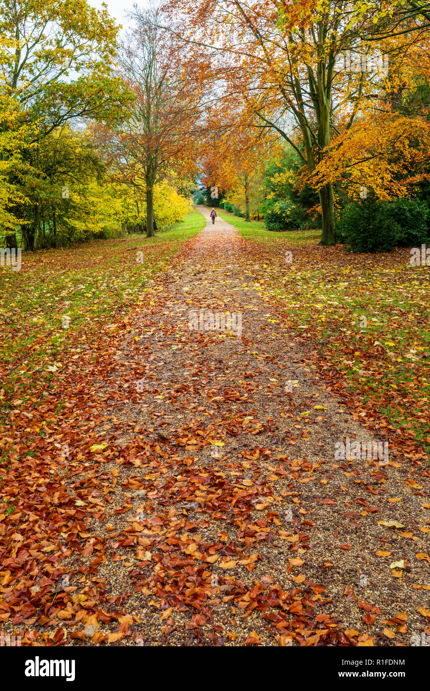 British countryside in autumn colors hi-res stock photography and ...