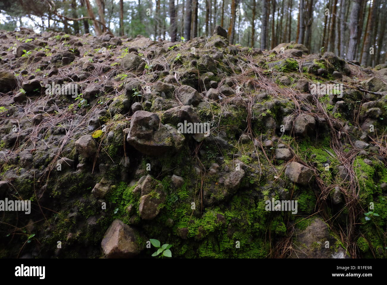 Rock soil hi-res stock photography and images - Alamy
