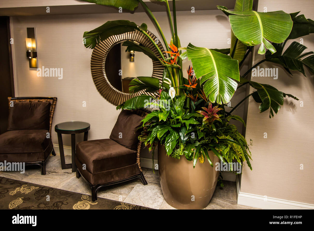 Pot plant large leaves hi-res stock photography and images - Alamy