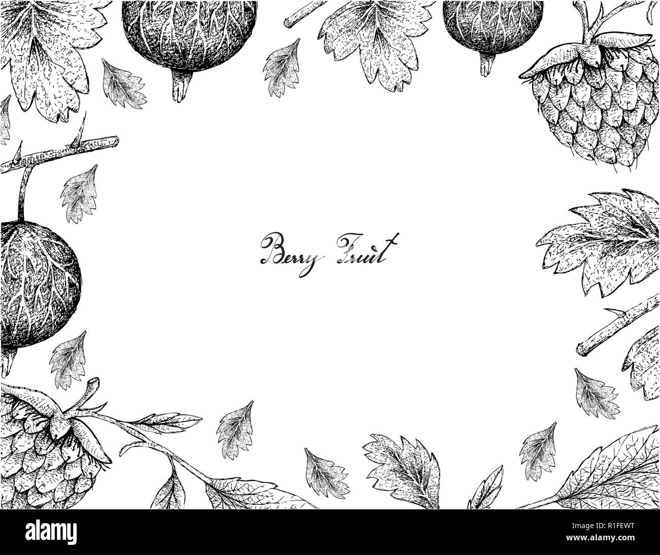 Golden himalayan raspberry hi-res stock photography and images - Alamy