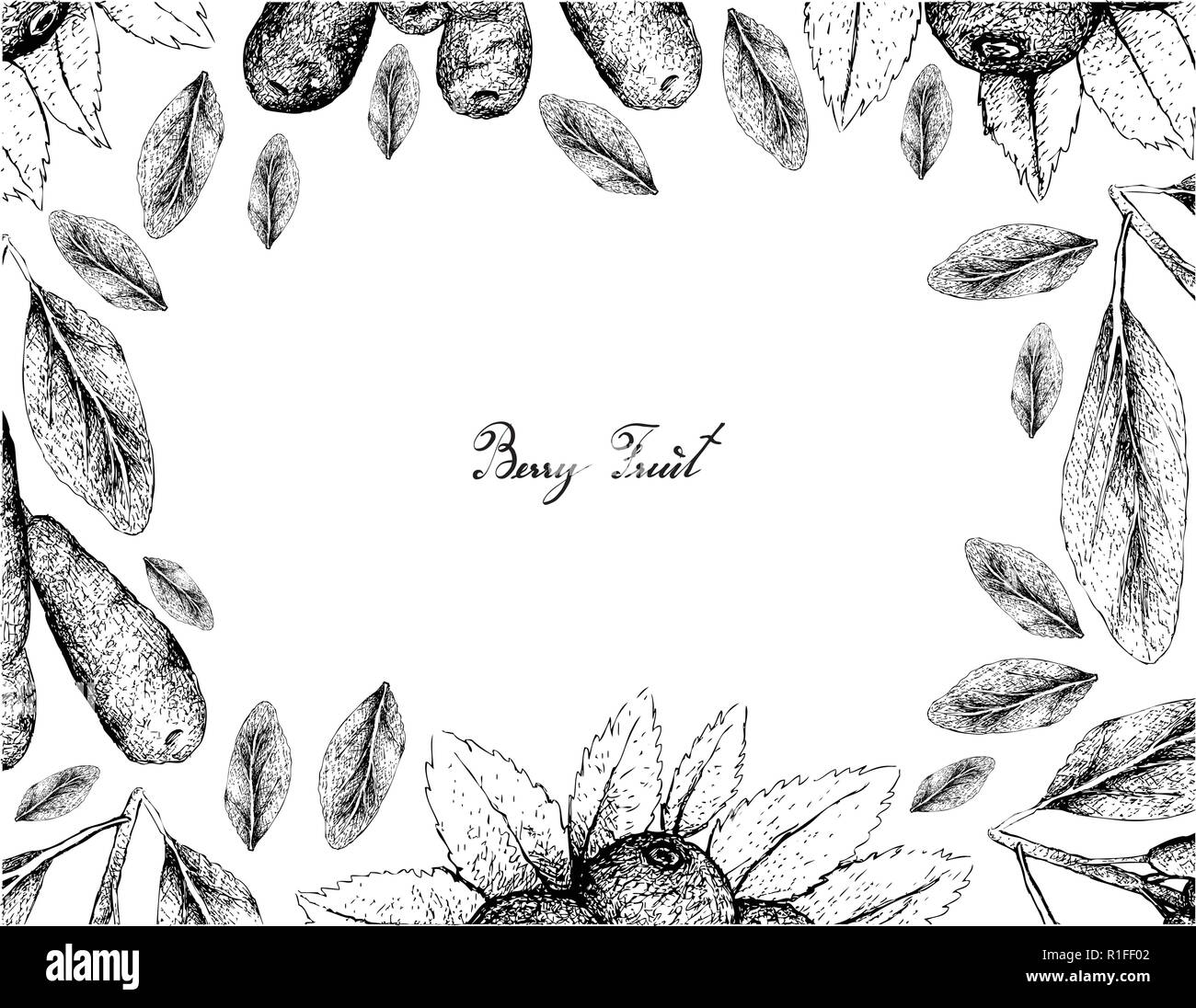 Tropical Fruit, Illustration Frame of Hand Drawn Sketch Huckleberries ...