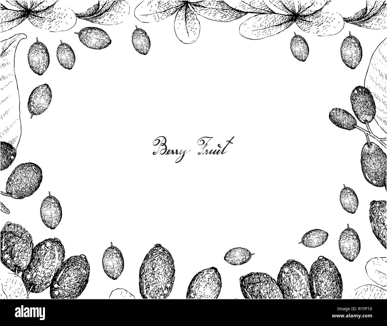 Berry Fruits, Illustration Frame of Hand Drawn Sketch Jambolan, Java ...