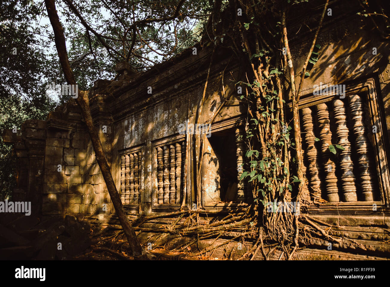 Beng Mealea Tempe Ruins in Cambodia close to Angkor Wat Stock Photo - Alamy