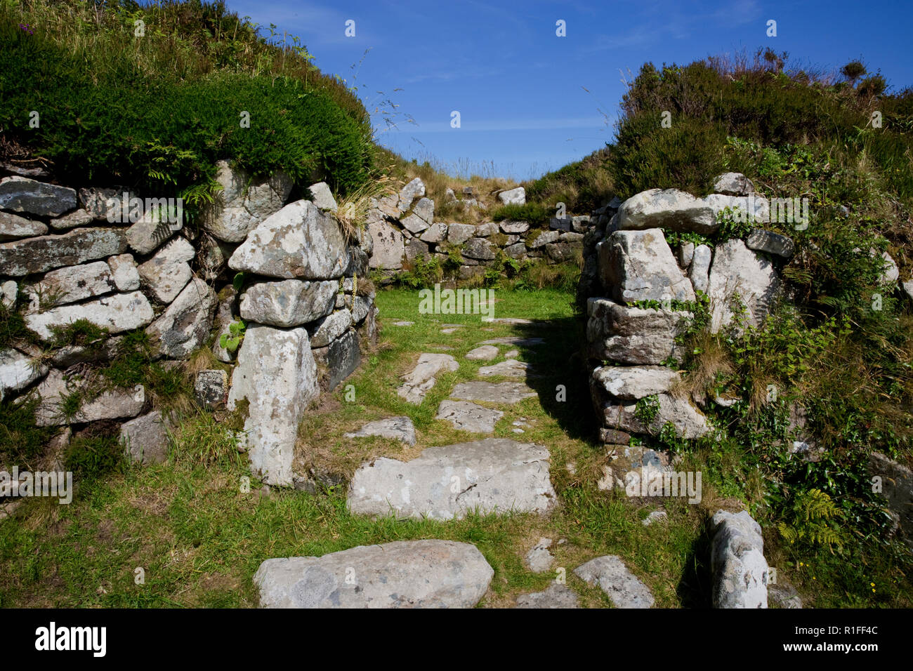 Stone age farming hi-res stock photography and images - Alamy