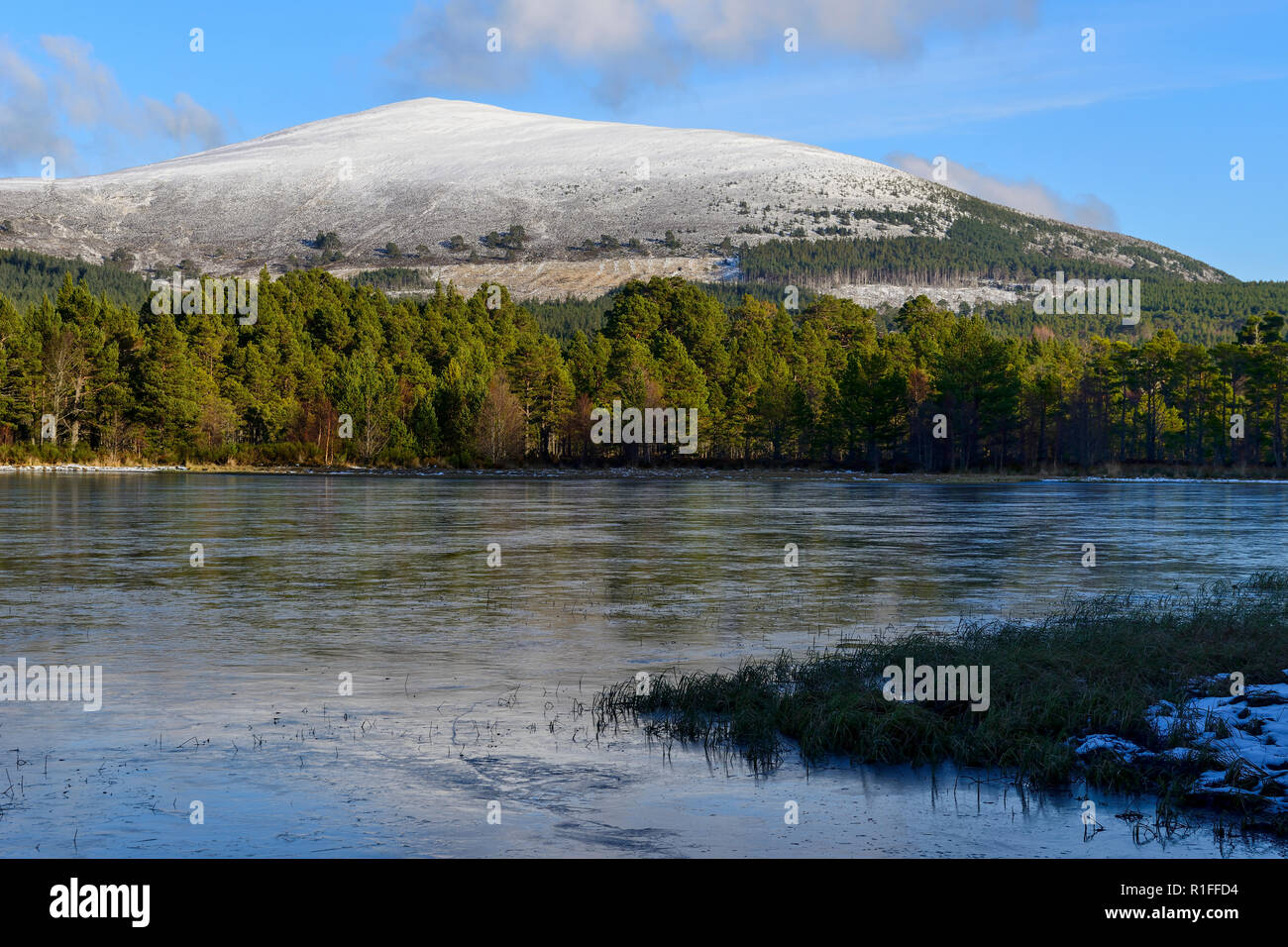 Loch Morlich in winter snow, Glenmore Forest Park, near Aviemore ...