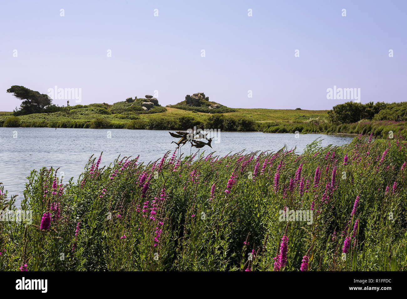 Abbey Pool from Carn Near Road, Tresco, Isles of Scilly, UK, with the ...