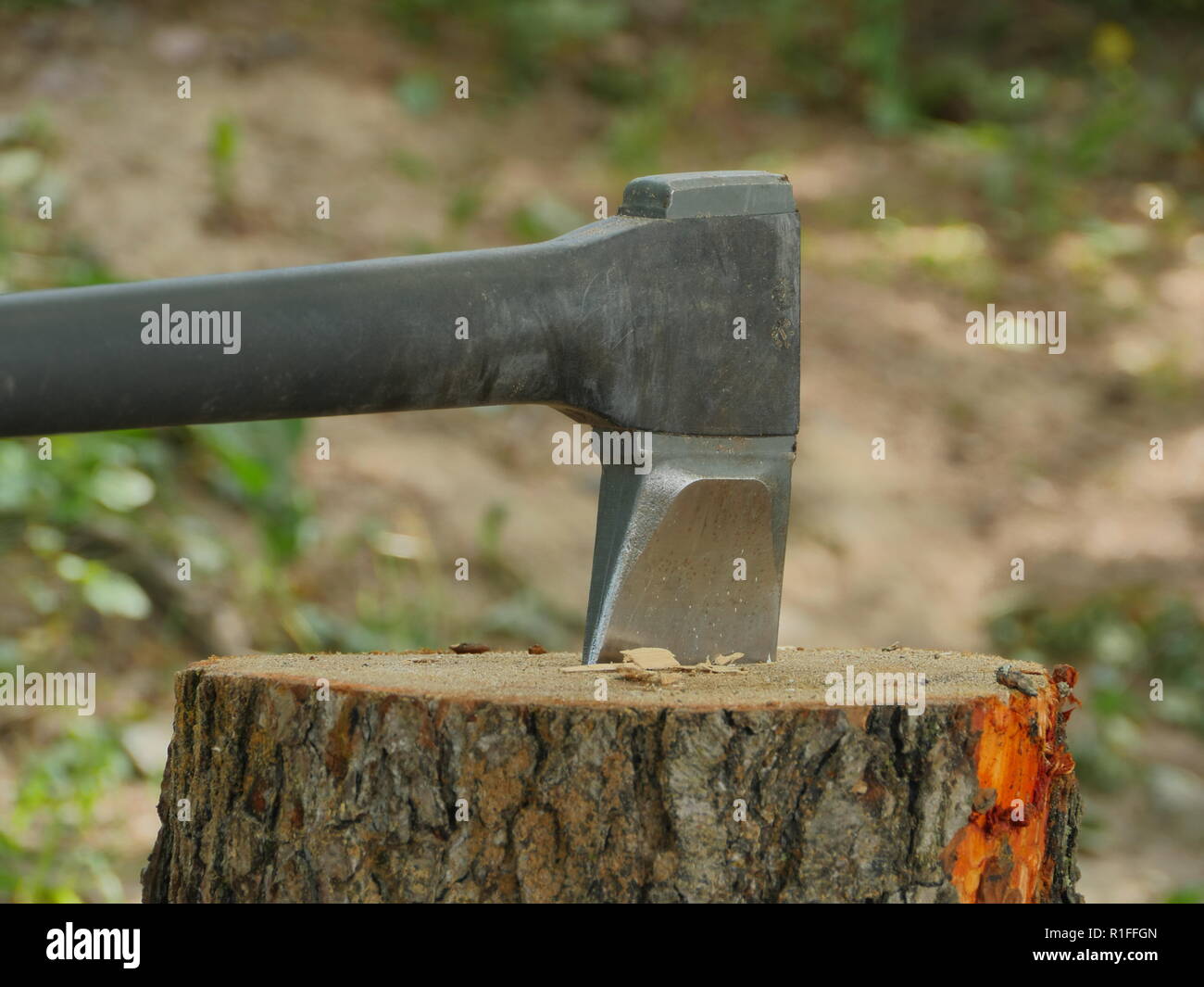 lumberjack chop wood with an ax Stock Photo - Alamy