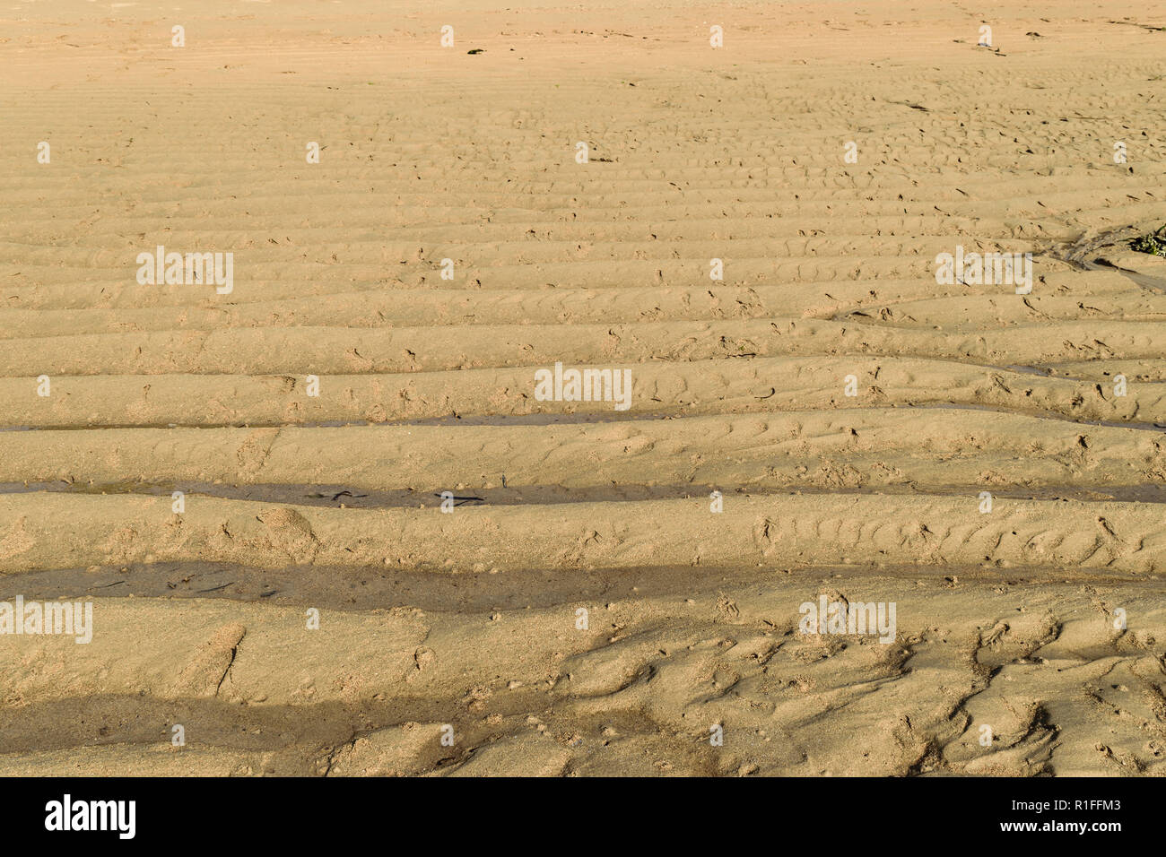 Background surface of sand in the beach during low tide Stock Photo - Alamy