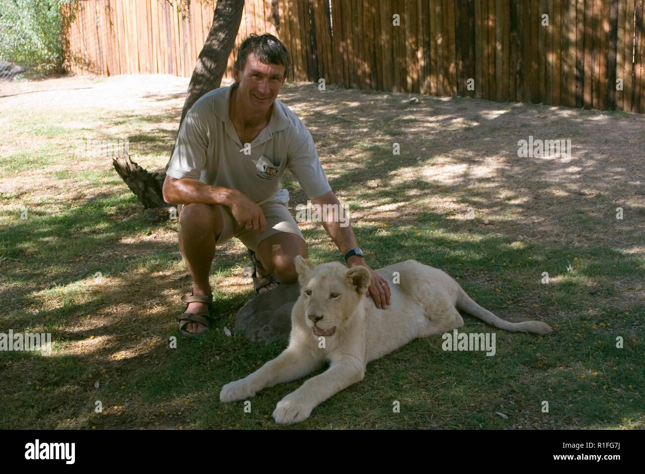 white lion, cango wildlife ranch, south Africa Stock Photo - Alamy