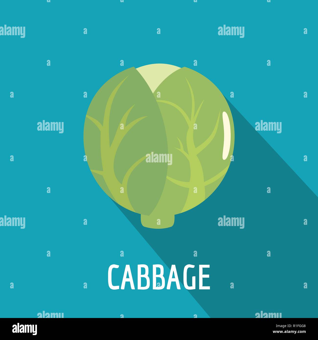 Cabbage icon. Flat illustration of cabbage vector icon for web Stock ...