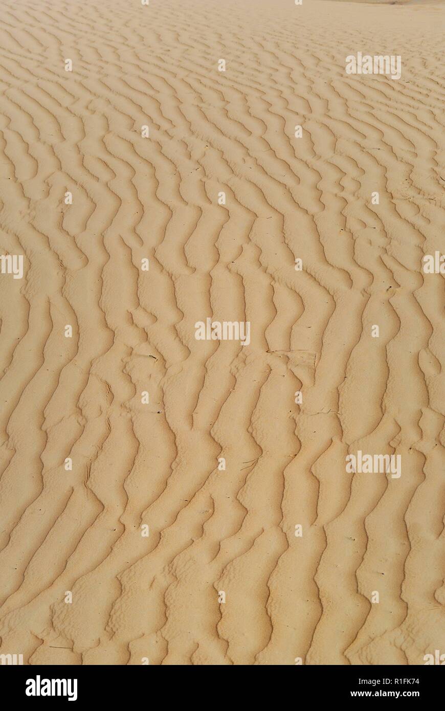 Muscat, France. 25th Nov, 2012. The sand shaped by wind and sun in the ...