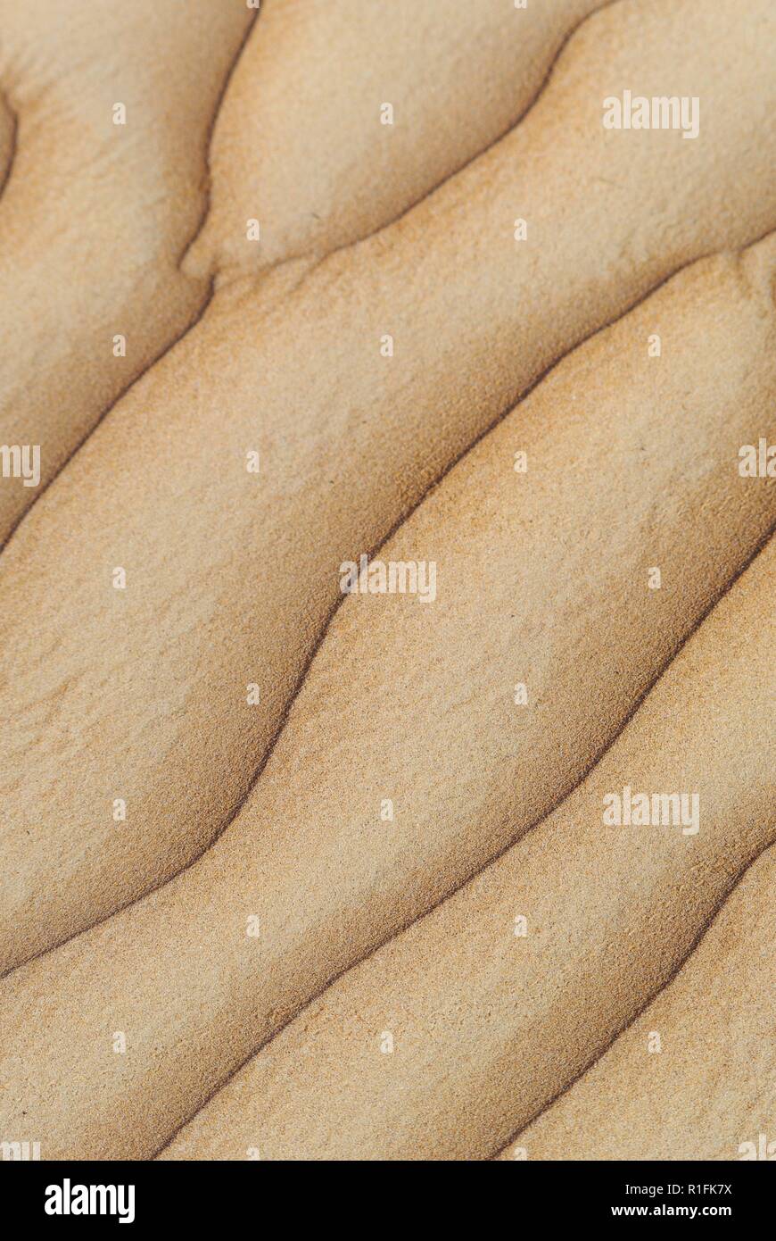 Muscat, France. 25th Nov, 2012. The sand shaped by wind and sun in the ...