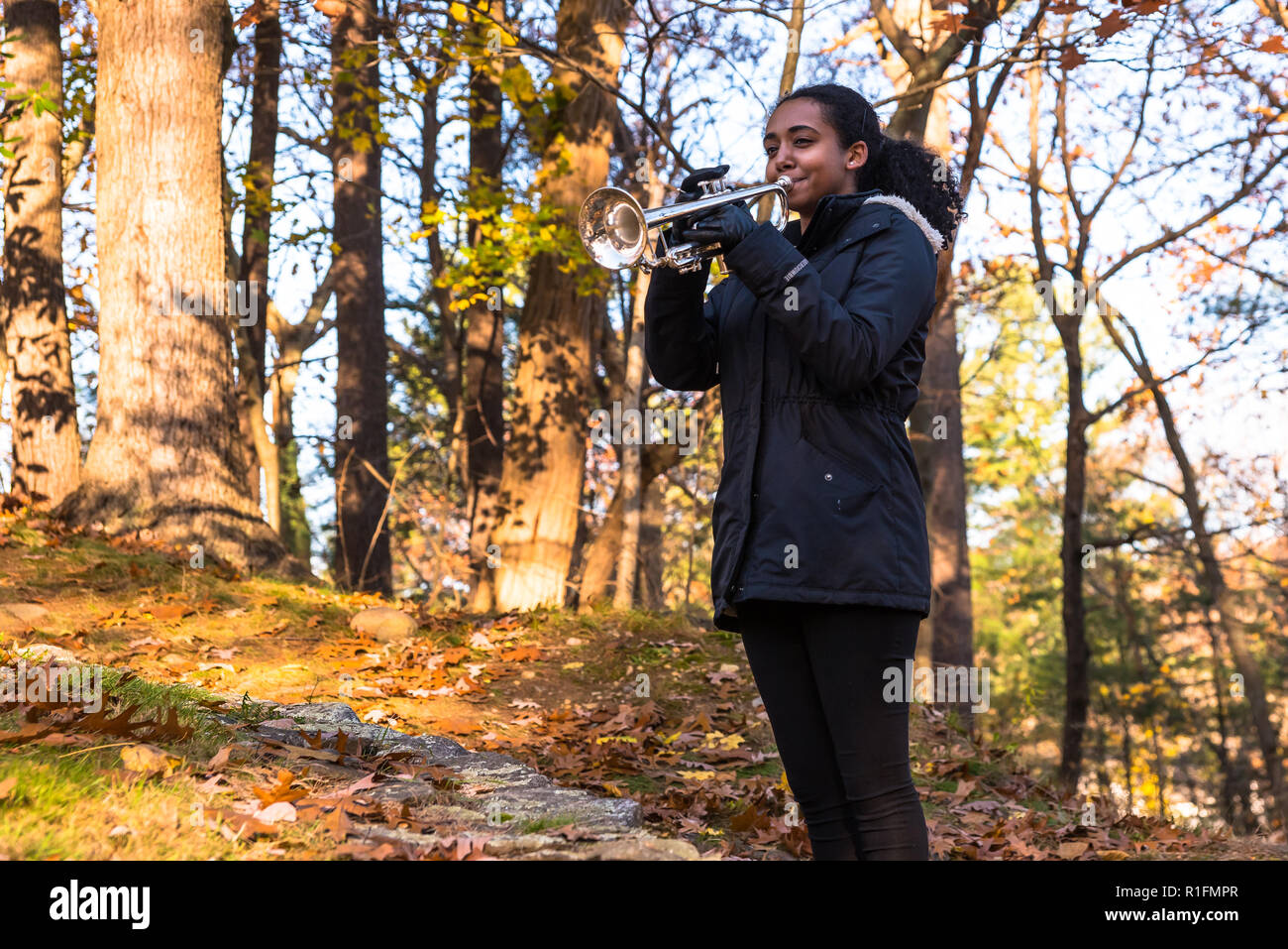 Concord, Massachusetts, USA. 11th November, 2018. Trumpet player at ...