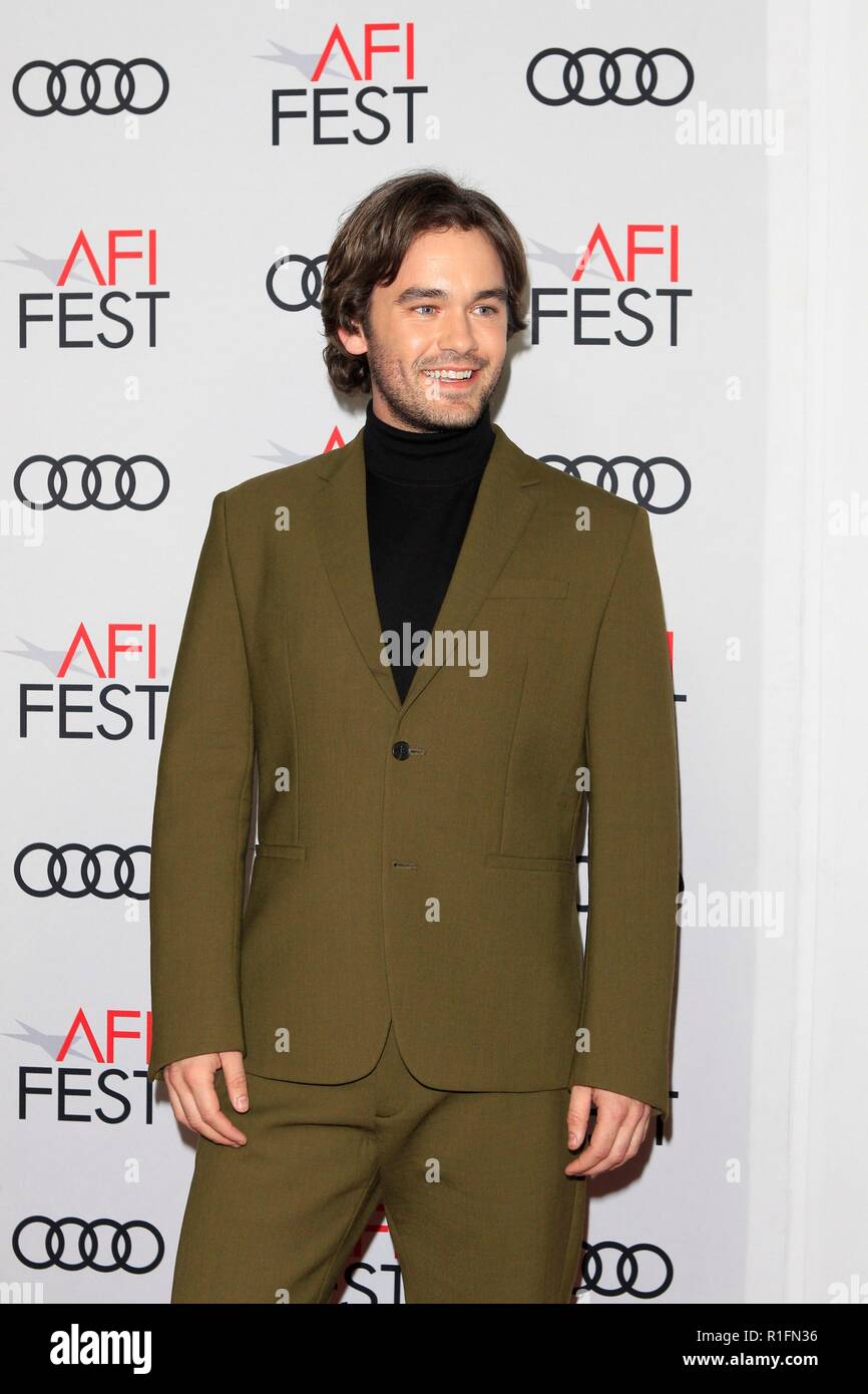Hollywood, CA. 10th Nov, 2018. Casey Thomas Brown at arrivals for THE ...