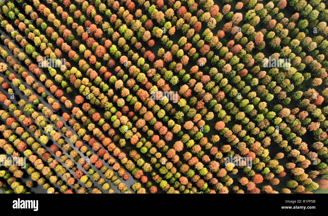 Yangzhou luyang lake wetland park hi-res stock photography and images ...