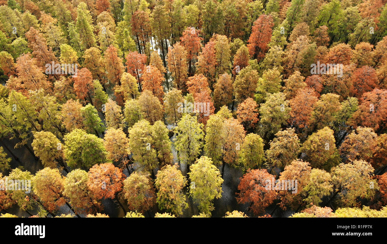 Yangzhou luyang lake wetland park hi-res stock photography and images ...