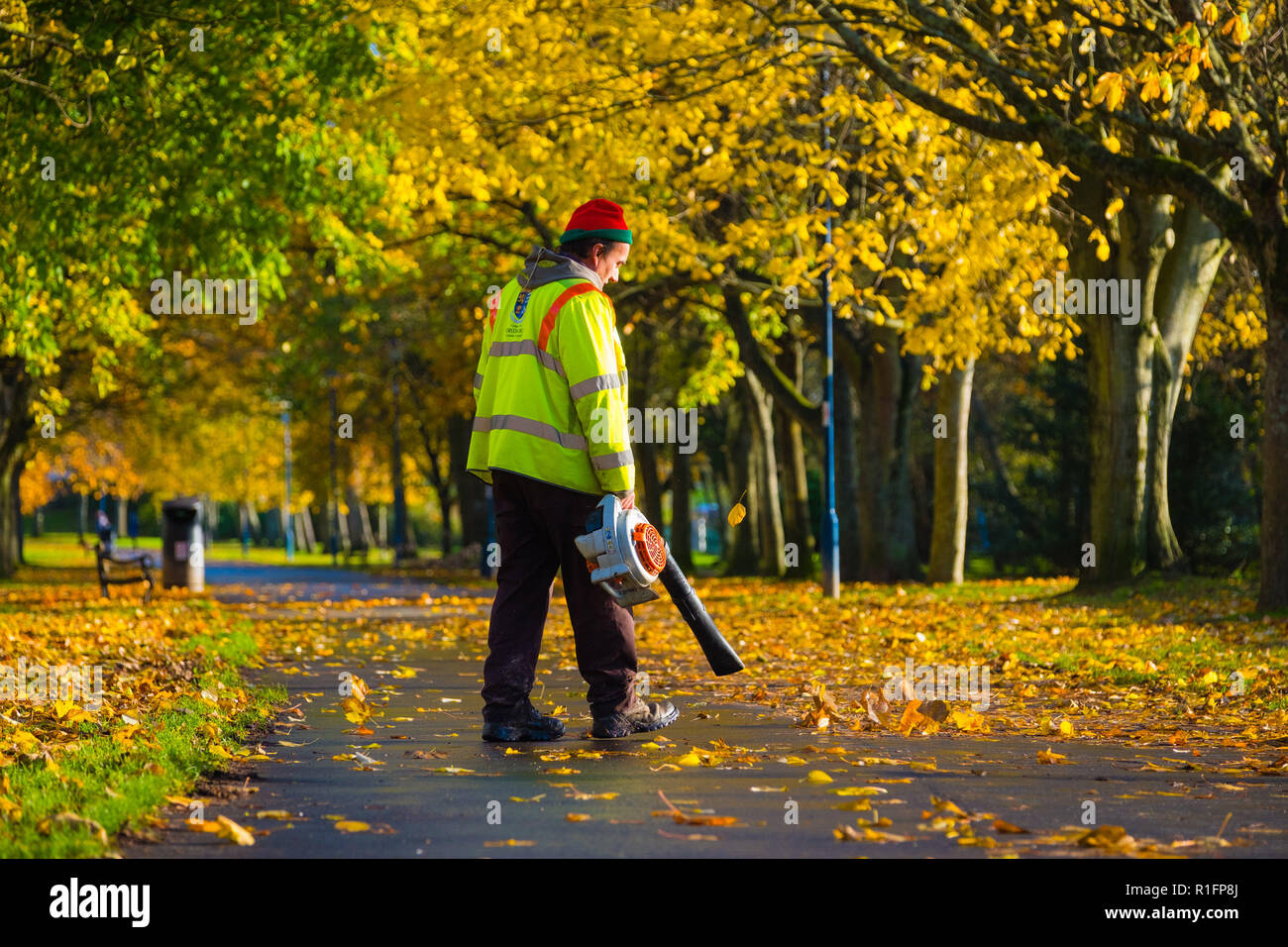 Leaves blowing off tree hi-res stock photography and images - Alamy