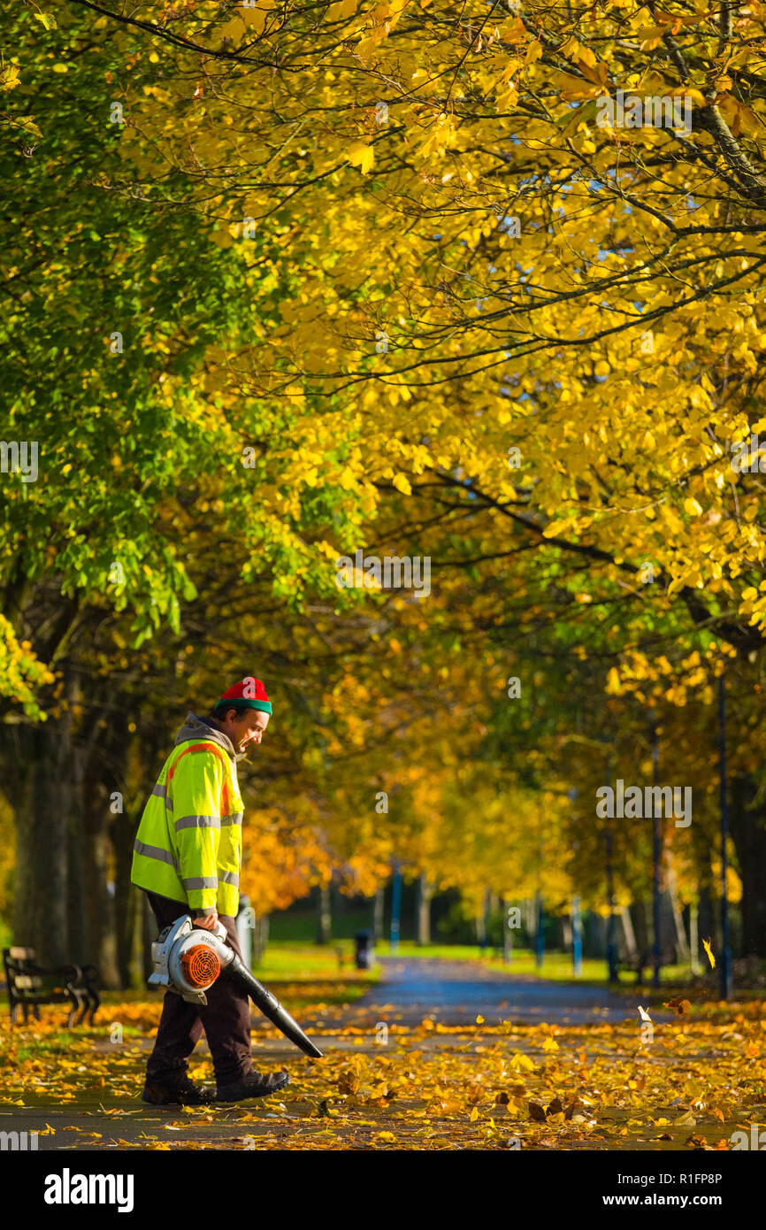 Leaves blowing off tree hi-res stock photography and images - Alamy