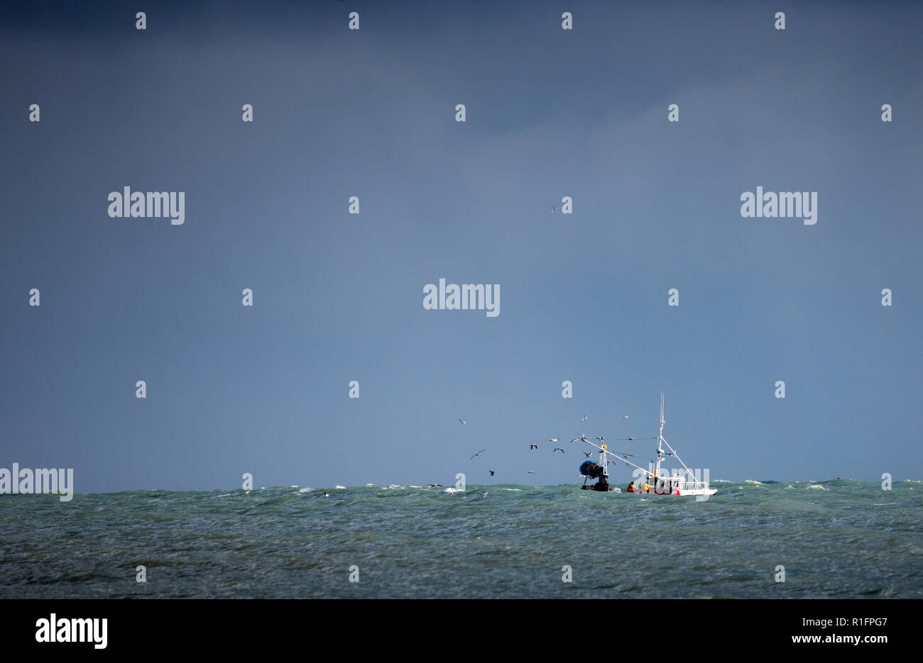 Myrtleville, Co. Cork, Ireland. 12th November, 2018. Trawler Muir Éinne ...