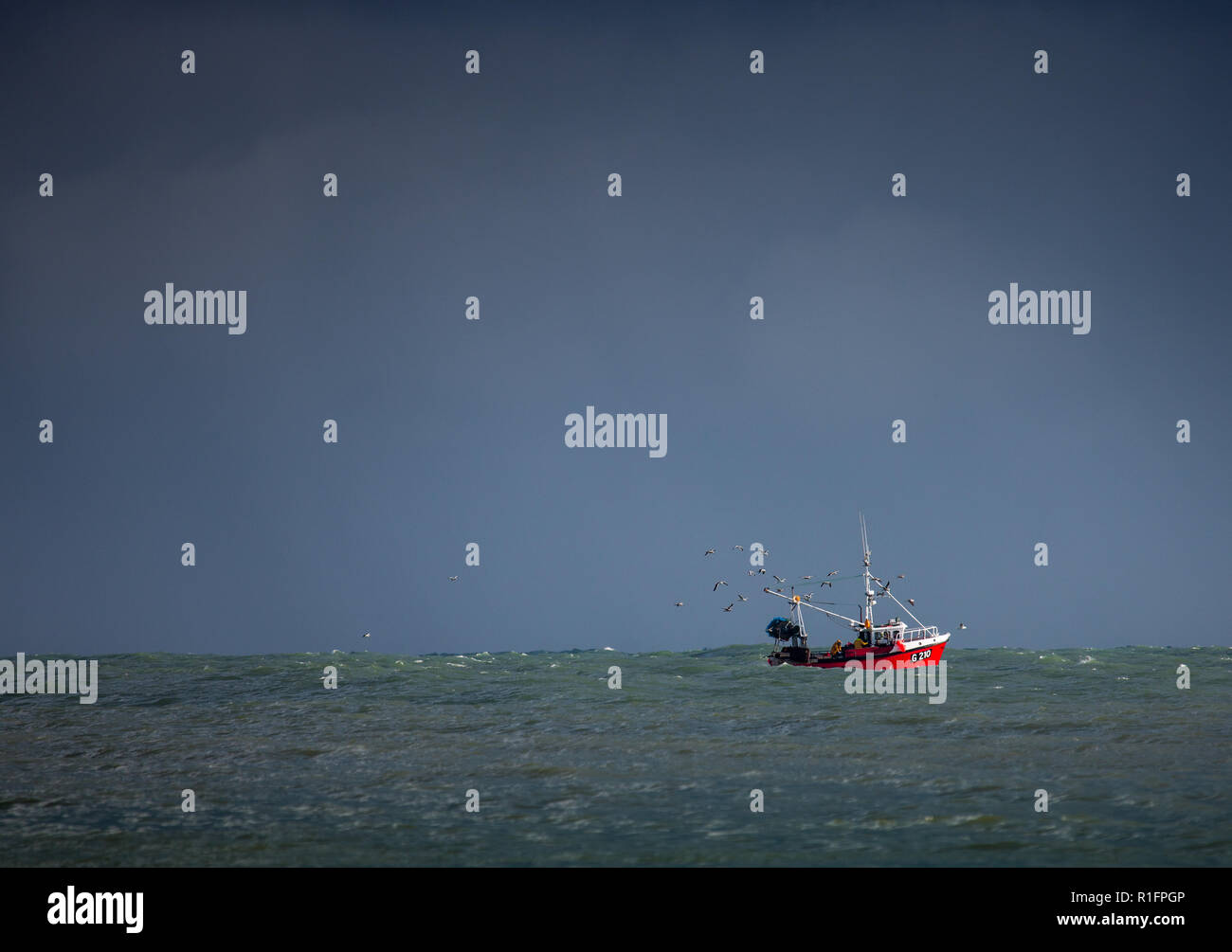 Myrtleville, Co. Cork, Ireland. 12th November, 2018. Trawler Muir Éinne ...