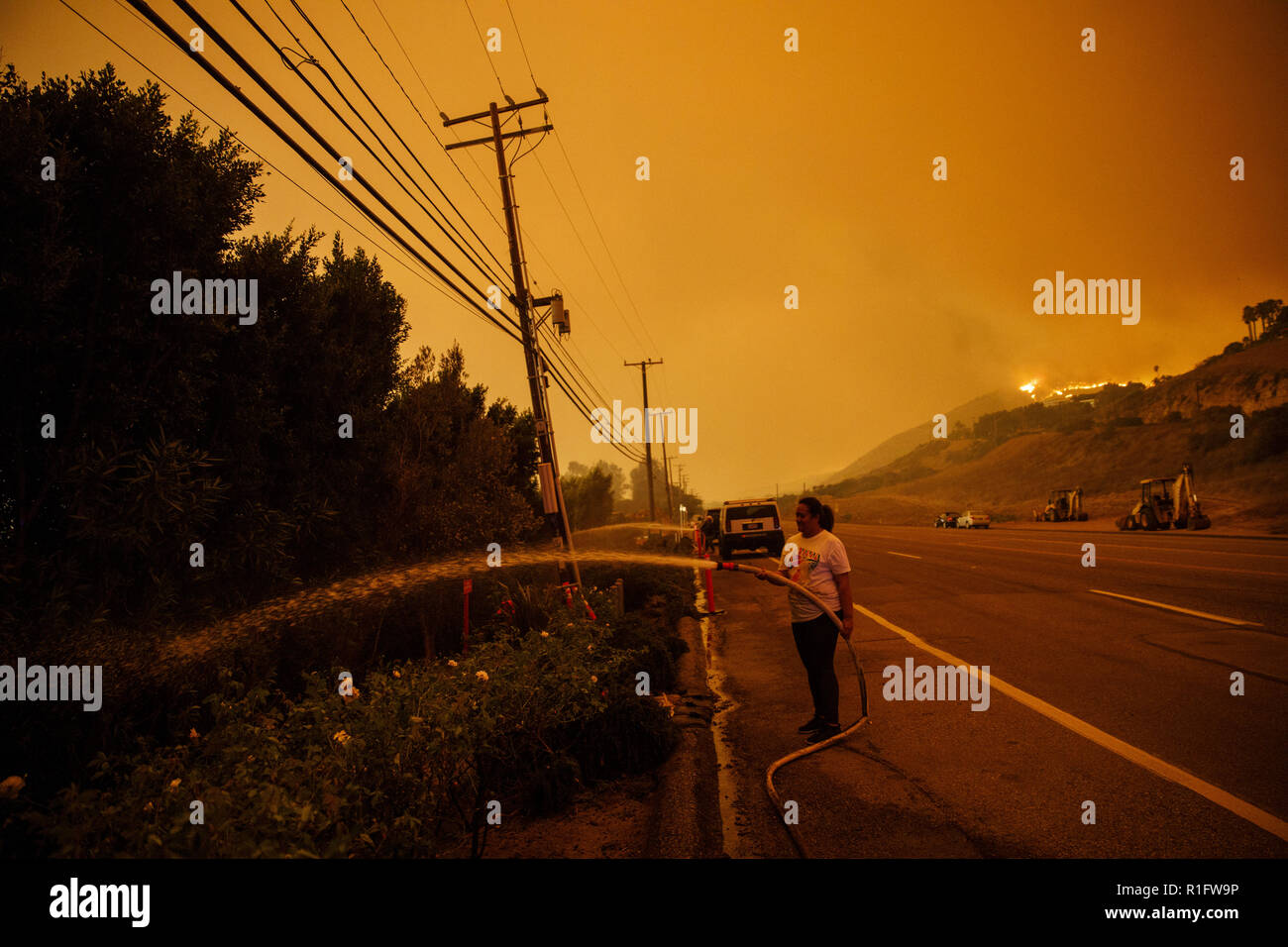 Malibu, California, USA. 9th Nov, 2018. Plants at a home on Pacific ...