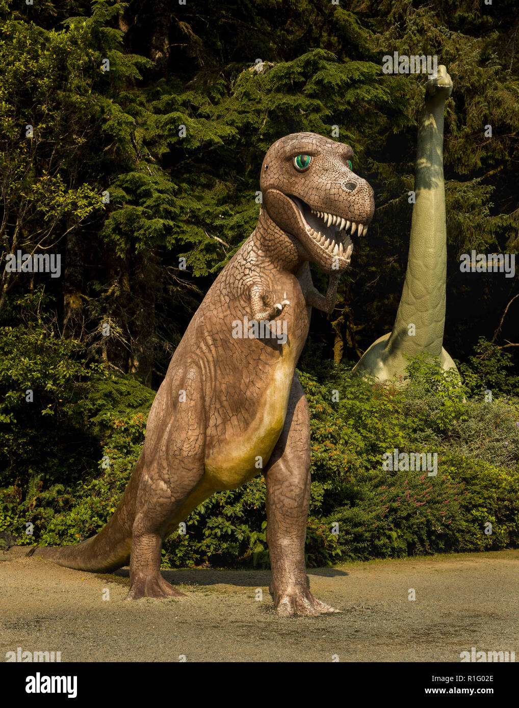 Port orford prehistoric gardens hi-res stock photography and images - Alamy