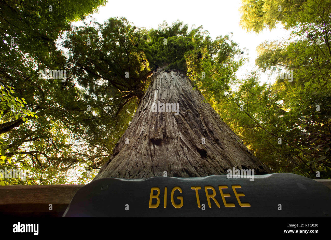 68 feet hi-res stock photography and images - Alamy