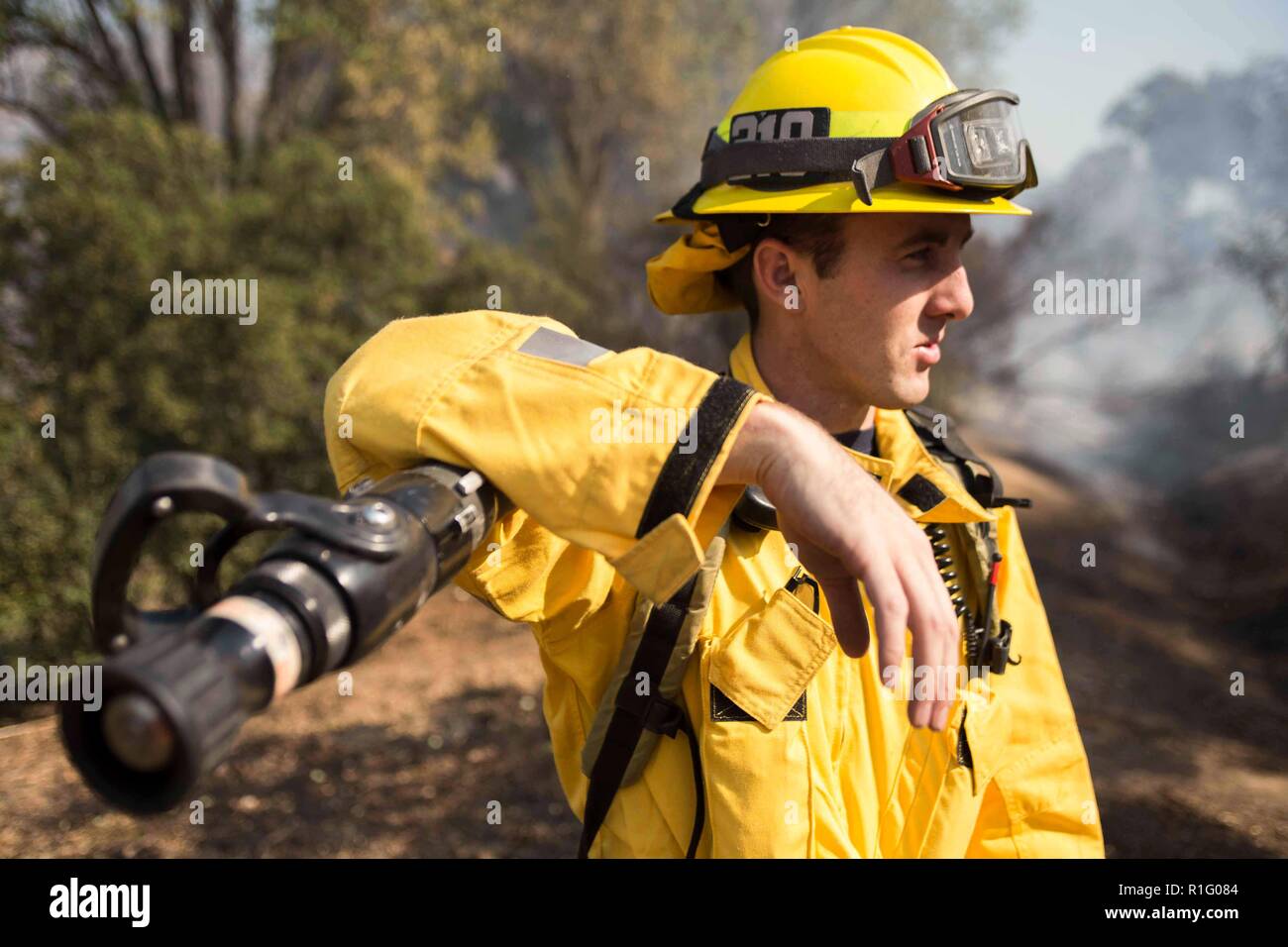 20181112 hi-res stock photography and images - Alamy