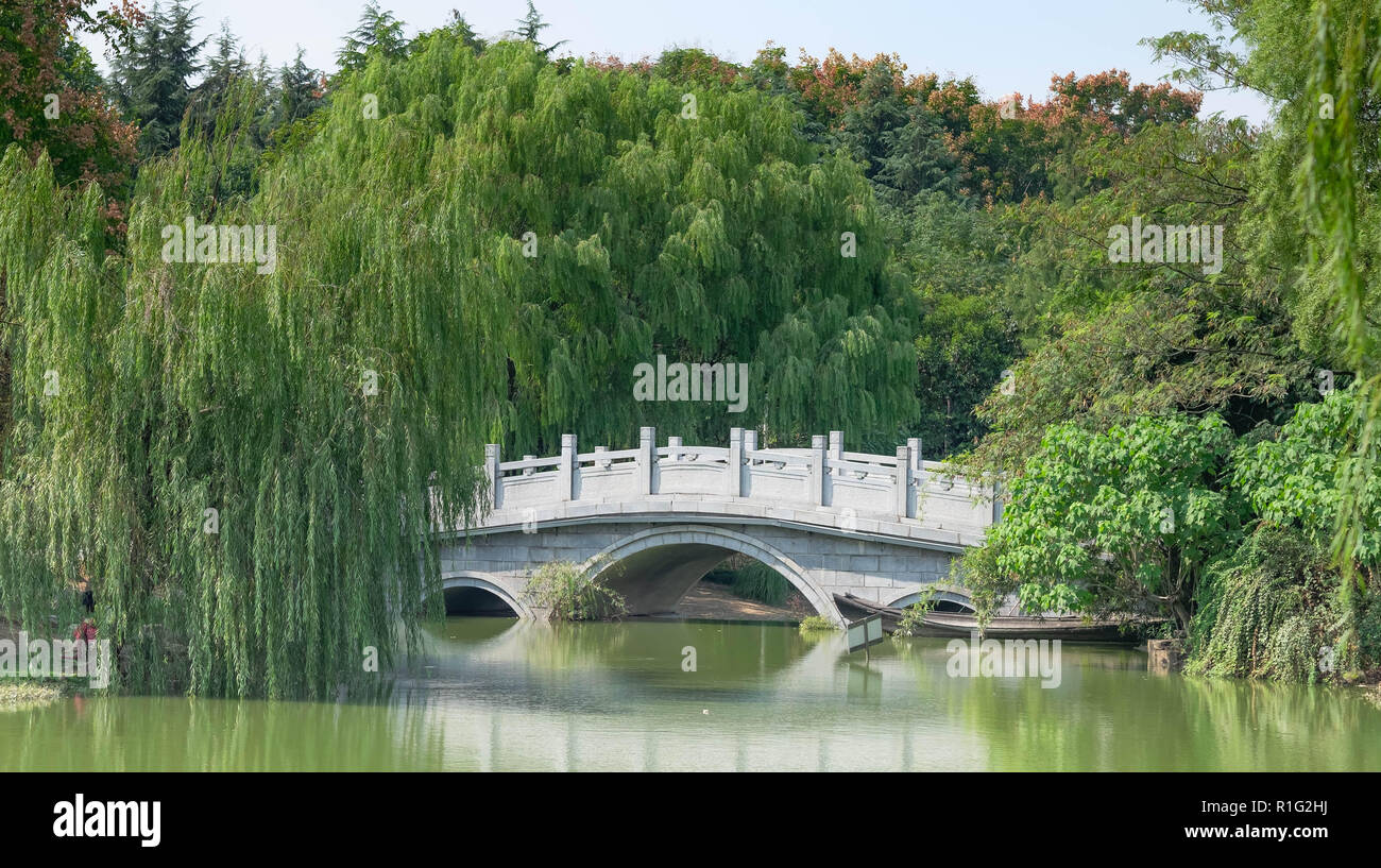 White stone footbridge in an Chinese garden lacated among the modern ...