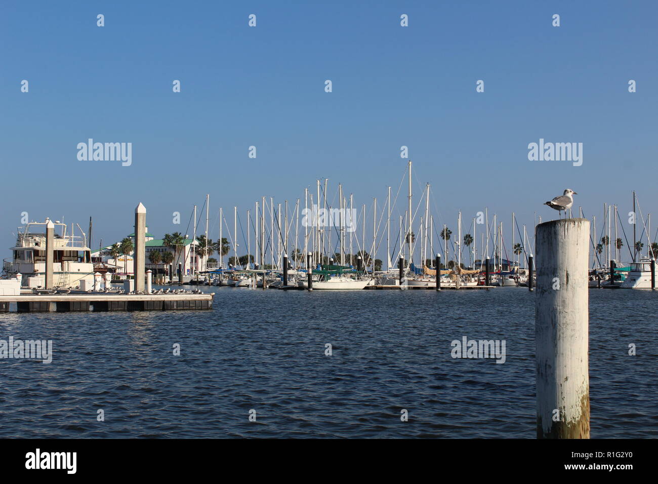Corpus christi bayfront hi-res stock photography and images - Alamy