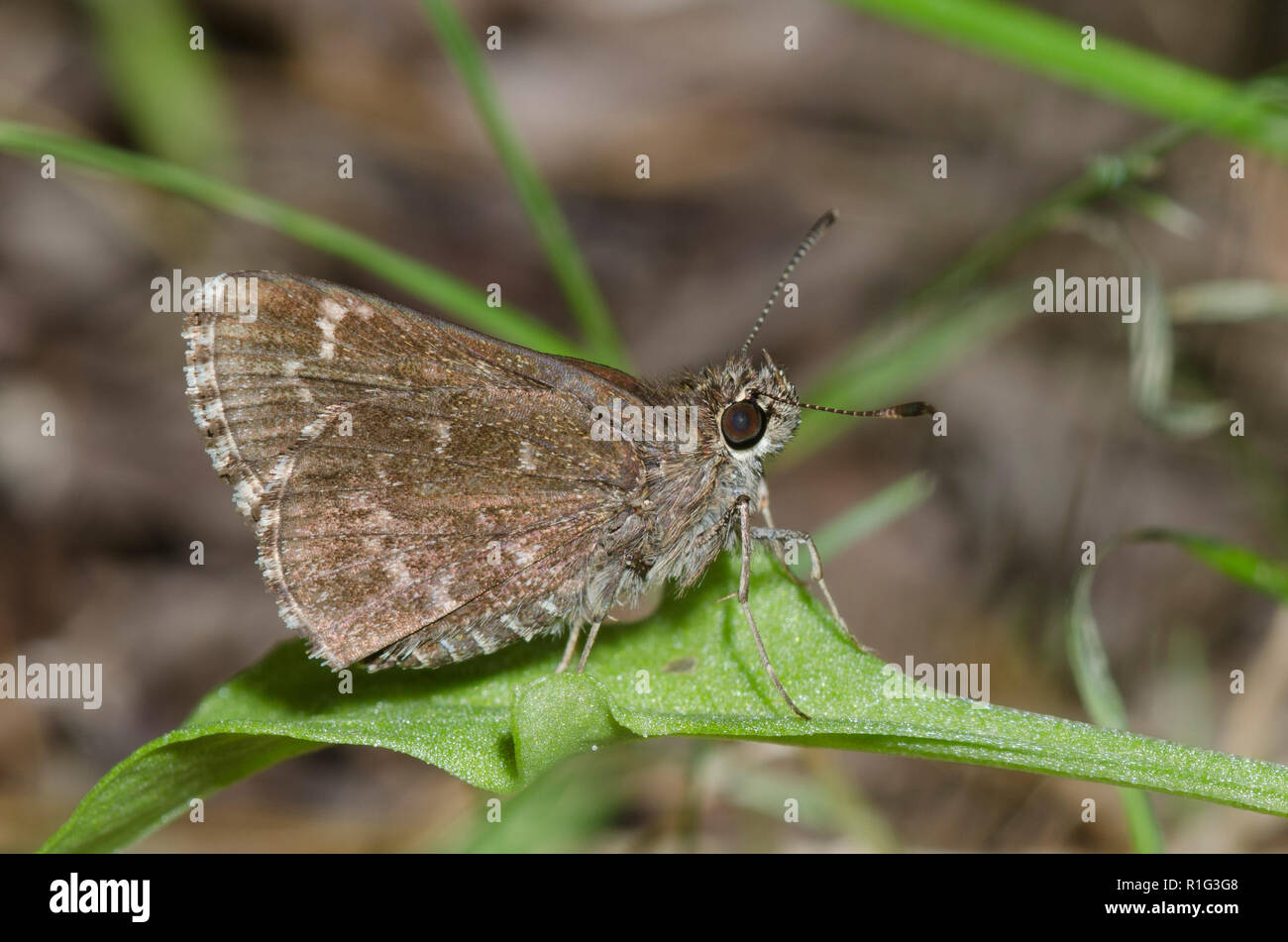 Missouri roadside hi-res stock photography and images - Alamy