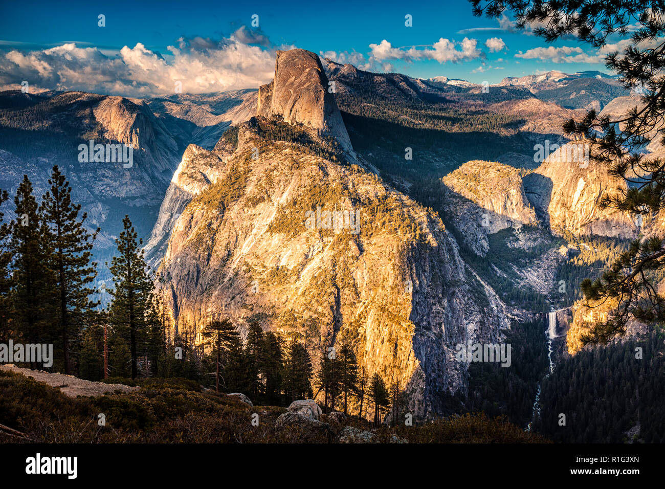 Evergreen Tree Valley Yosemite Half Dome High Resolution Stock ...