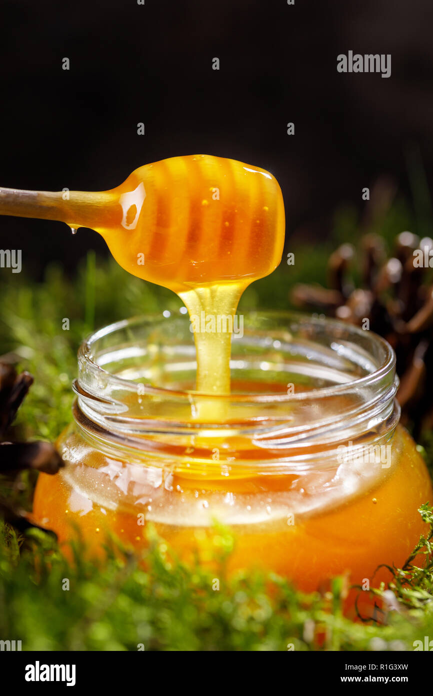 Honey falling from wooden dipper hi-res stock photography and images ...