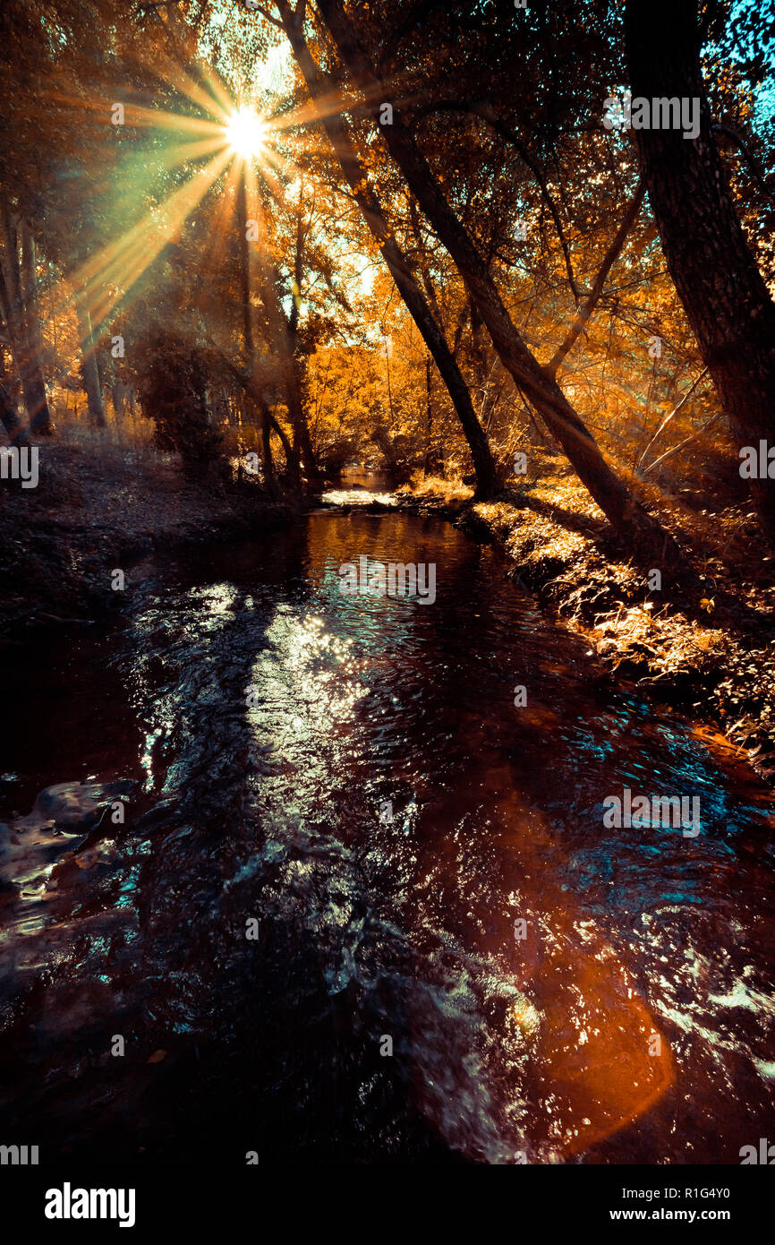 Sunbeam reflected in water hi-res stock photography and images - Alamy