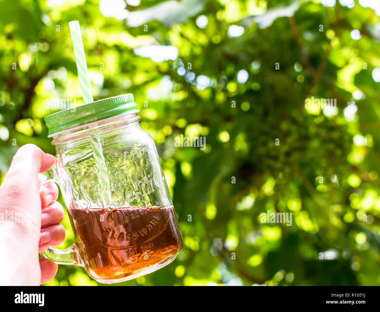 Hand holding a glass mug of cold tea with straw against green vined ...
