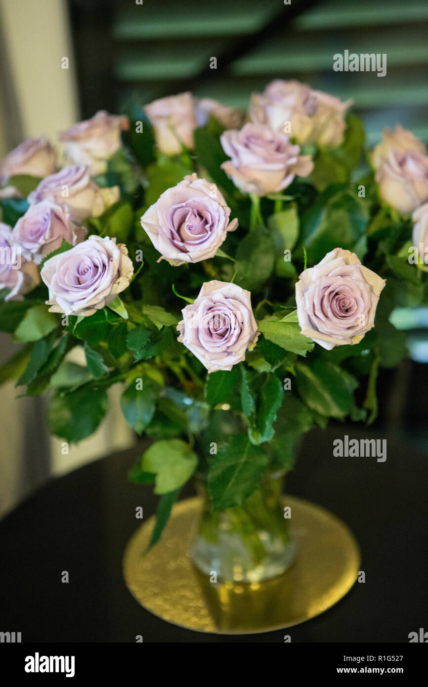 purple roses beautiful Stock Photo - Alamy