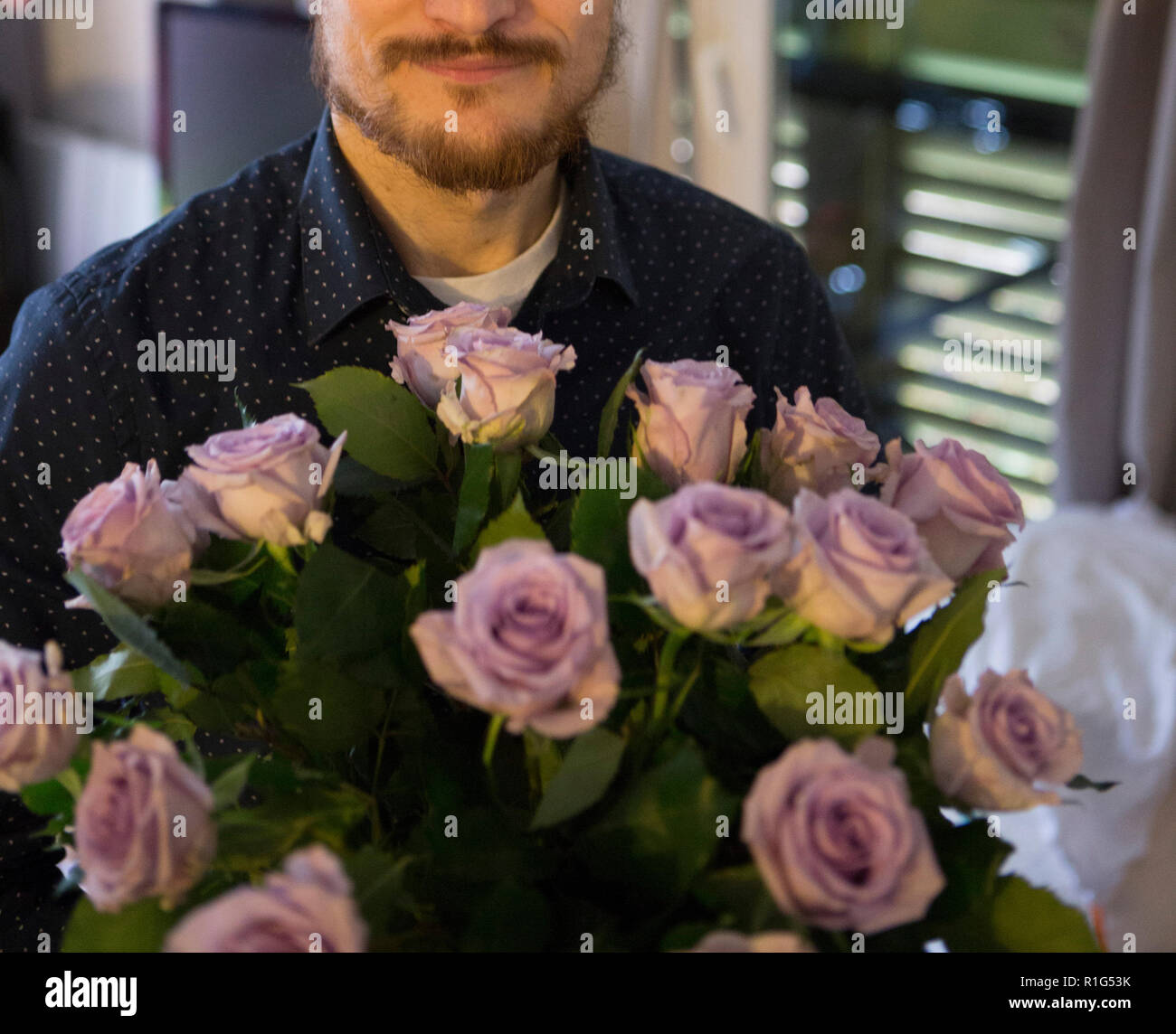 purple roses beautiful Stock Photo - Alamy
