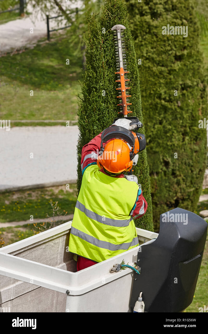 Equiped worker pruning a tree on a crane. Gardening works Stock Photo ...