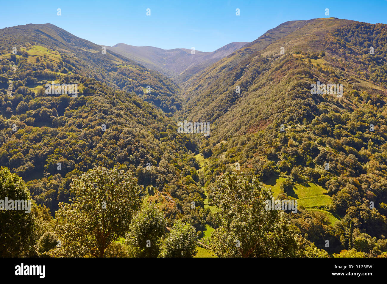 Green forest mountain landscape in Asturias. Nature tourism in Spain ...
